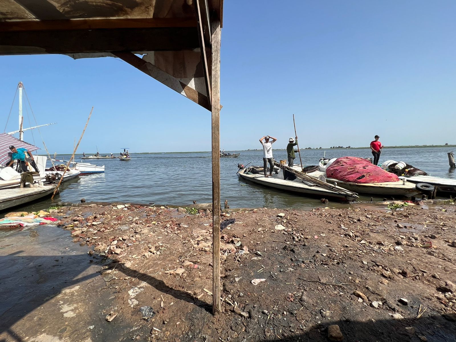 بحيرة المنزلة بعد التطوير.. ظهور أنواع أسماك جديدة بكميات وفيرة - اليوم ...